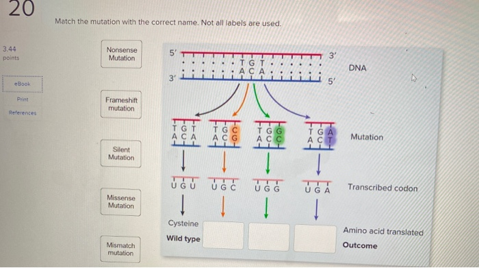 Solved 20 Match the mutation with the correct name. Not all | Chegg.com