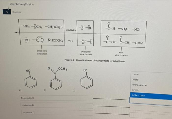 Solved Terephthaloyl Nylon 3 points -NH, -OCH; -CH3 (alky!) | Chegg.com