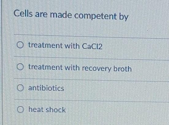 Solved Cells are made competent by treatment with CaCl2 O | Chegg.com