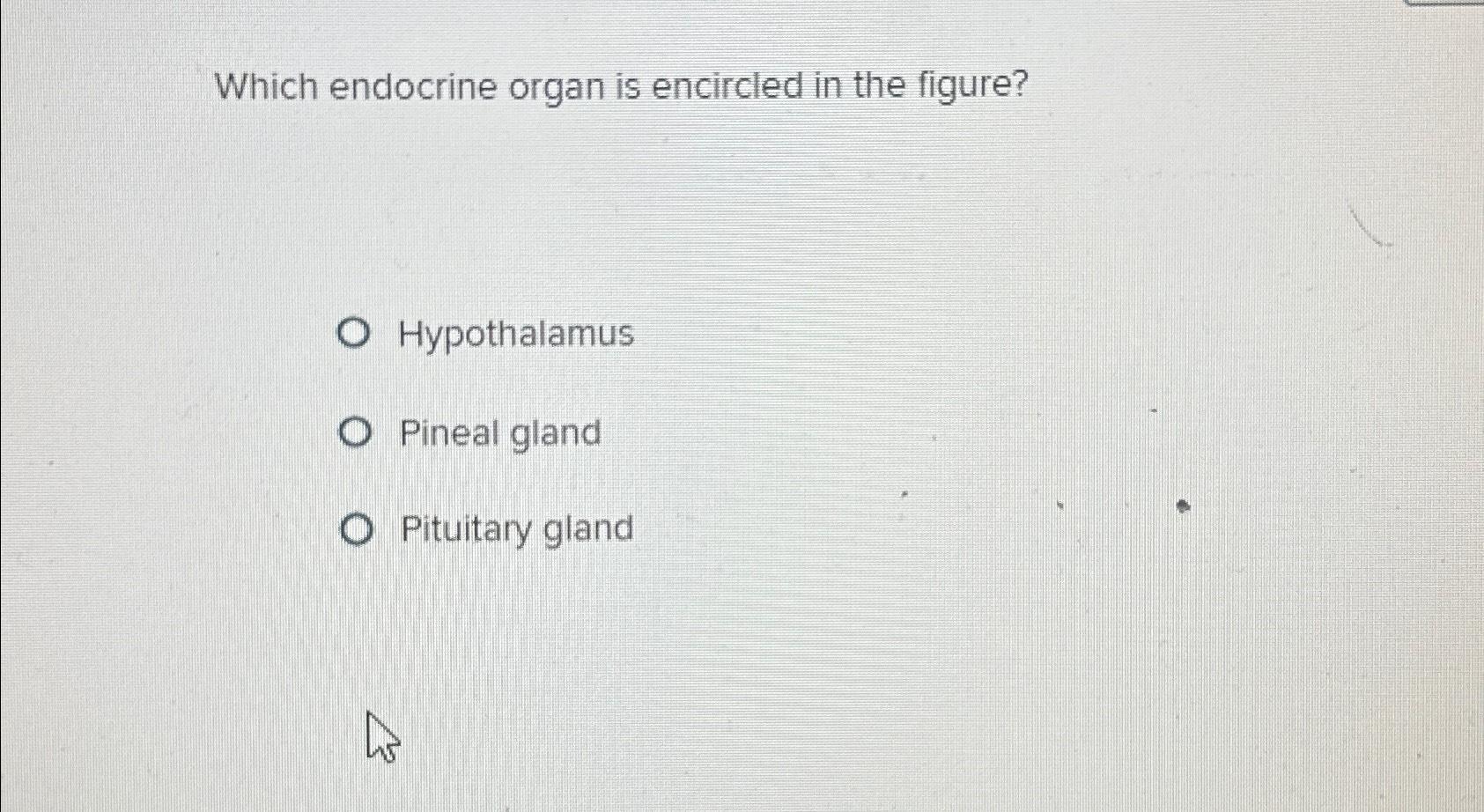 Solved Which endocrine organ is encircled in the | Chegg.com