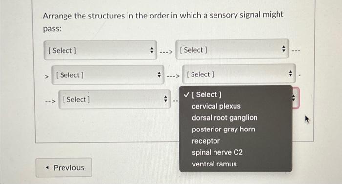 Solved Arrange the structures in the order in which a | Chegg.com