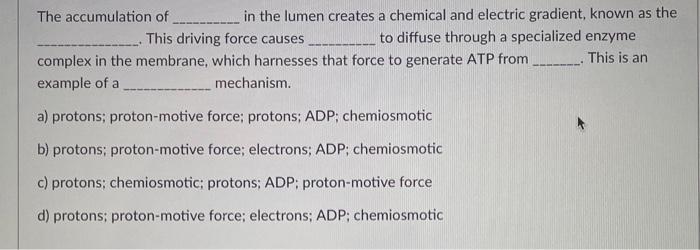 Solved The accumulation of in the lumen creates a chemical | Chegg.com