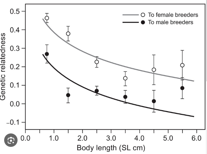 Solved Can someone explain what is happening in this graph | Chegg.com