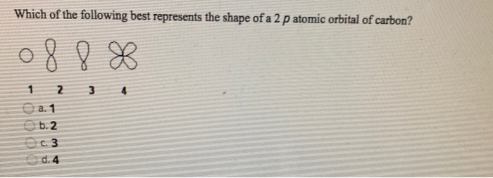 Solved Which of the following best represents the shape of a | Chegg.com