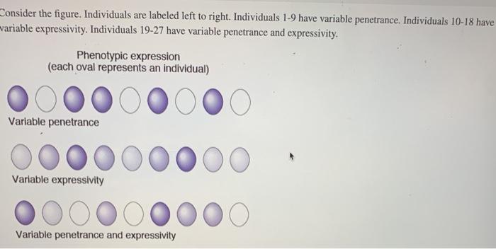 Solved Consider the figure. Individuals are labeled left to | Chegg.com