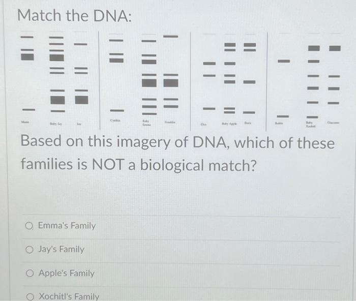 Match the DNA: Based on this imagery of DNA, which of | Chegg.com