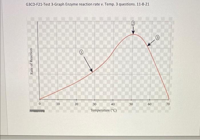 Solved D Question 4 3 pts Enzyme reaction rates are a | Chegg.com Solved D Question 4 3 pts Enzyme reaction rates are a | Chegg.com