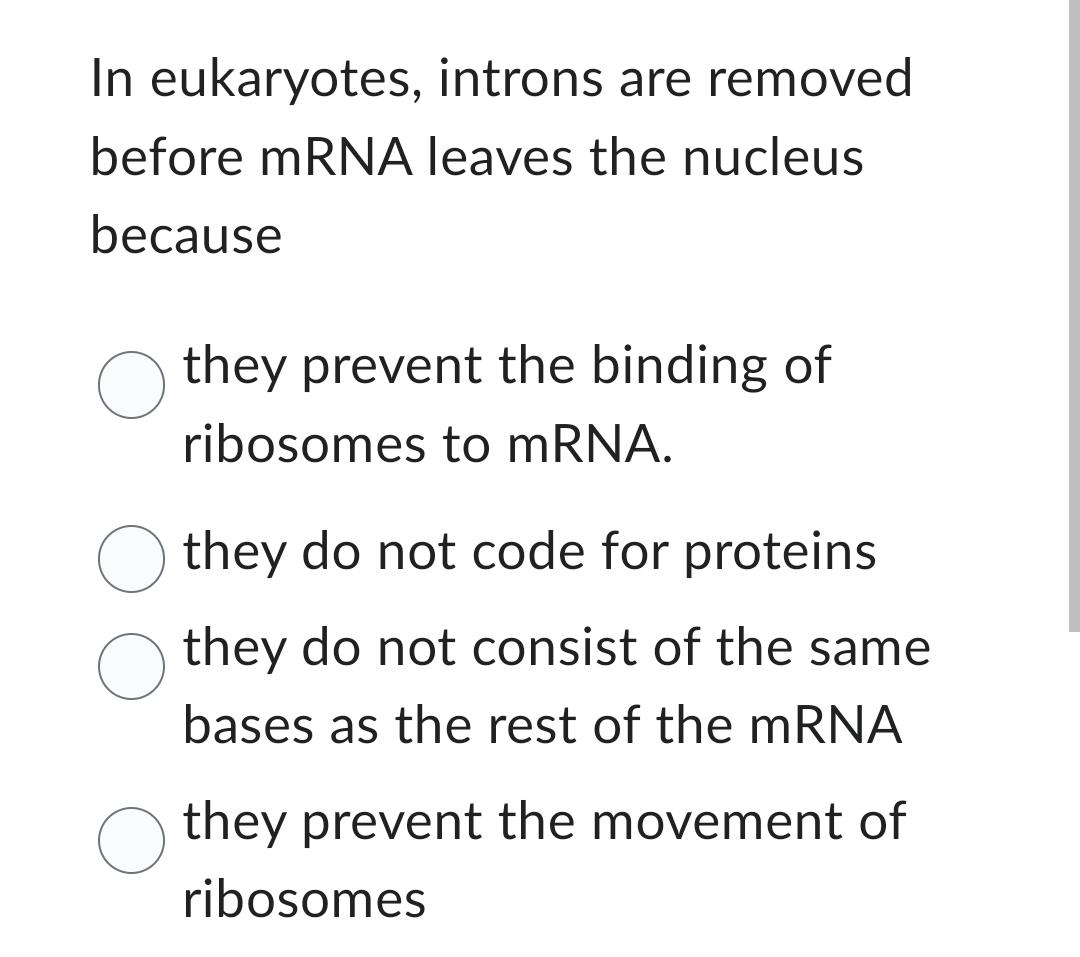 Solved In eukaryotes, introns are removed before mRNA leaves | Chegg.com