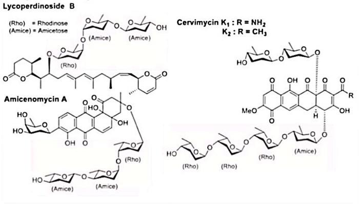 Solved Synthesis and RCM reaction of 10 LOPMB OPMB Leoben | Chegg.com
