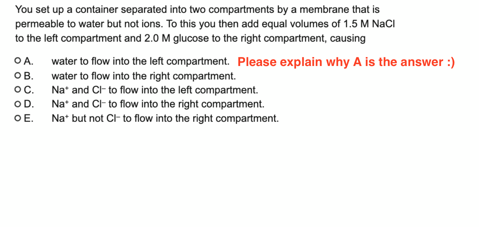 Solved You set up a container separated into two | Chegg.com