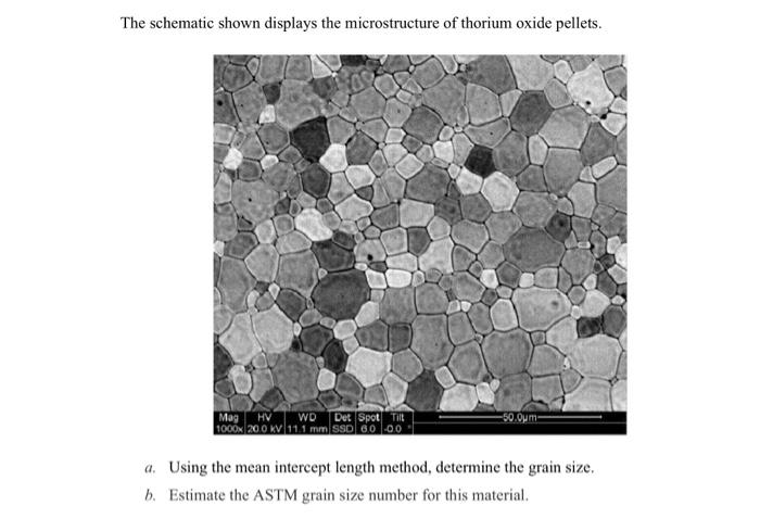 Solved The schematic shown displays the microstructure of | Chegg.com