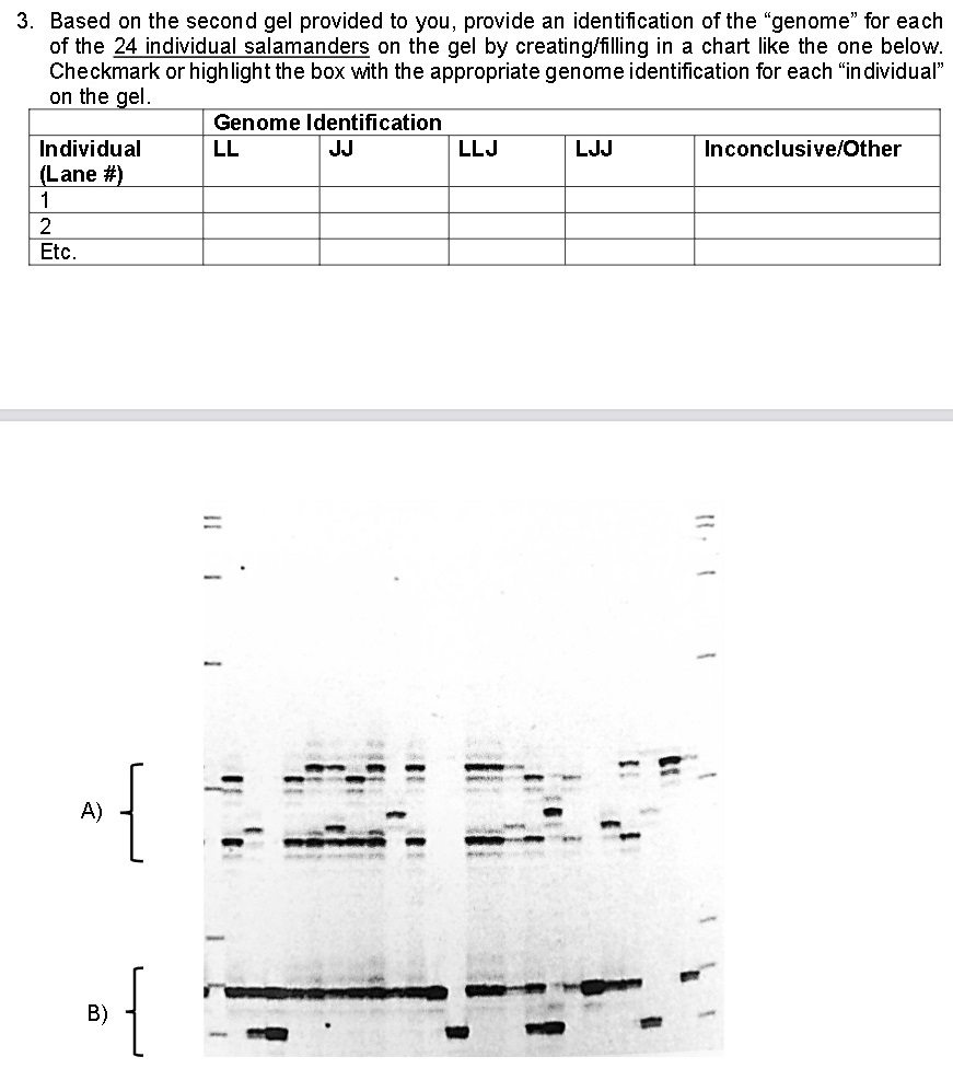 Solved Based on the second gel provided to you, provide an | Chegg.com