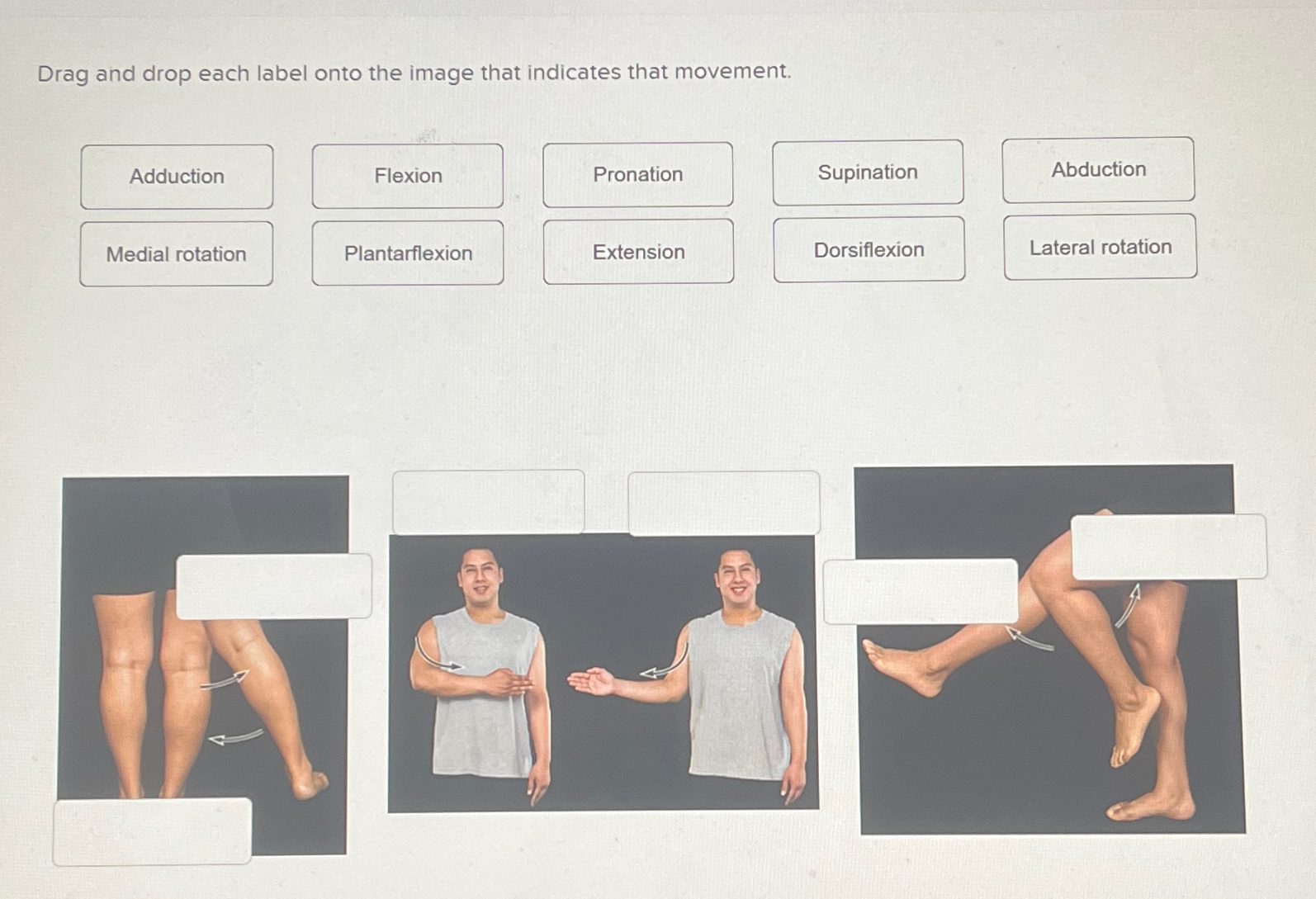 Solved Drag and drop each label onto the image that | Chegg.com