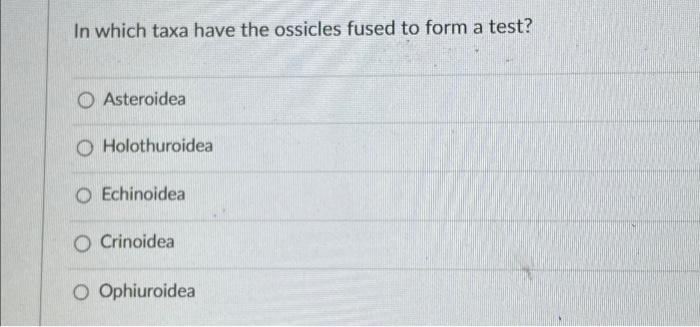 Solved In which taxa have the ossicles fused to form a test? | Chegg.com