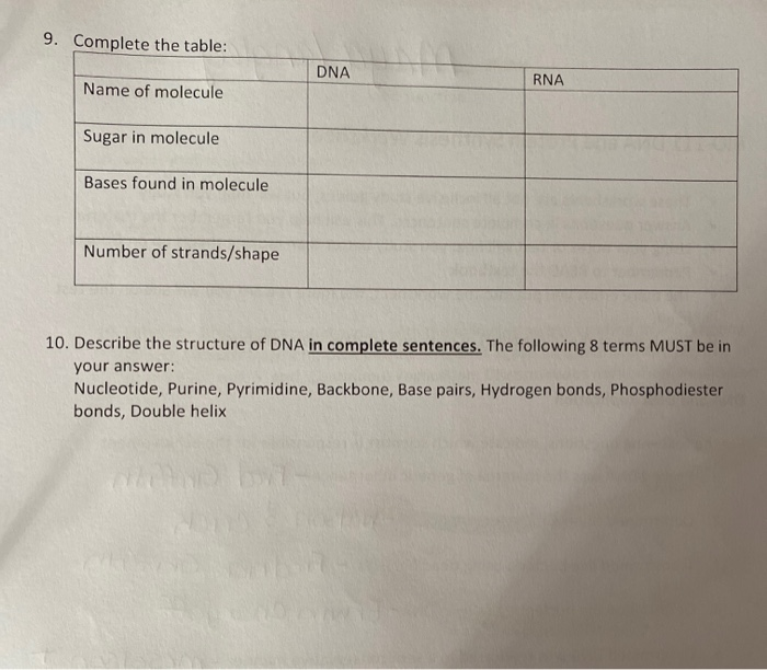 Solved 9. Complete the table: DNA RNA Name of molecule Sugar | Chegg.com