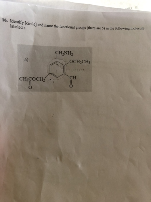 Solved 16. Identify [circle) and name the functional groups | Chegg.com