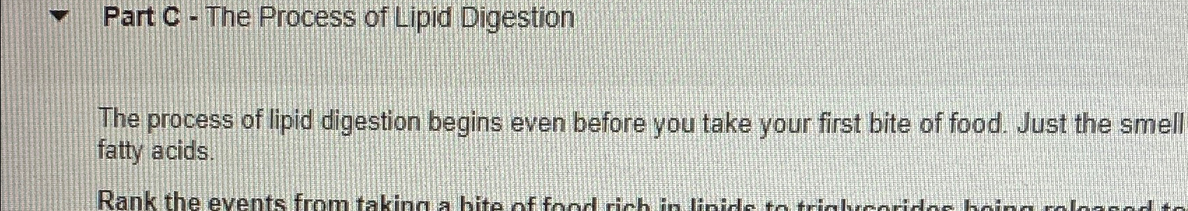 Solved Part C - ﻿The Process of Lipid DigestionThe process | Chegg.com