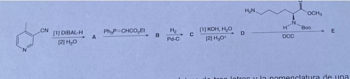 Solved CN [1] DIBAL-H [2] H₂O A PhyP CHCO₂Et B H₂ Pd-C C [1] | Chegg.com