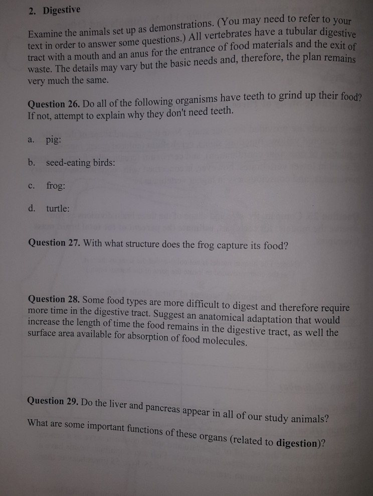 Solved 2. Digestive Examine the animals set up as | Chegg.com