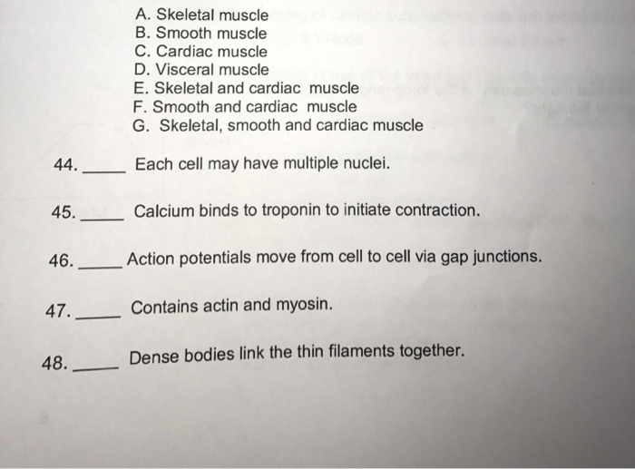 Solved A. Skeletal muscle B. Smooth muscle C. Cardiac muscle | Chegg.com