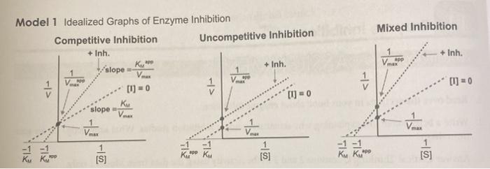 Solved Mixed Inhibition Model 1 Idealized Graphs of Enzyme | Chegg.com