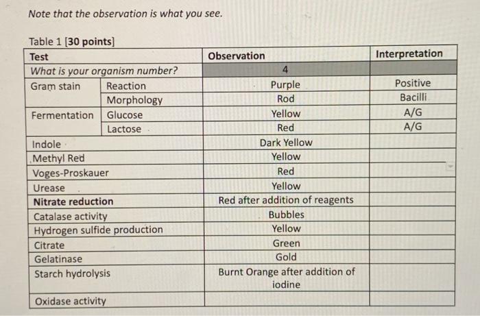 Solved You've performed biochemical testing to identify your | Chegg.com