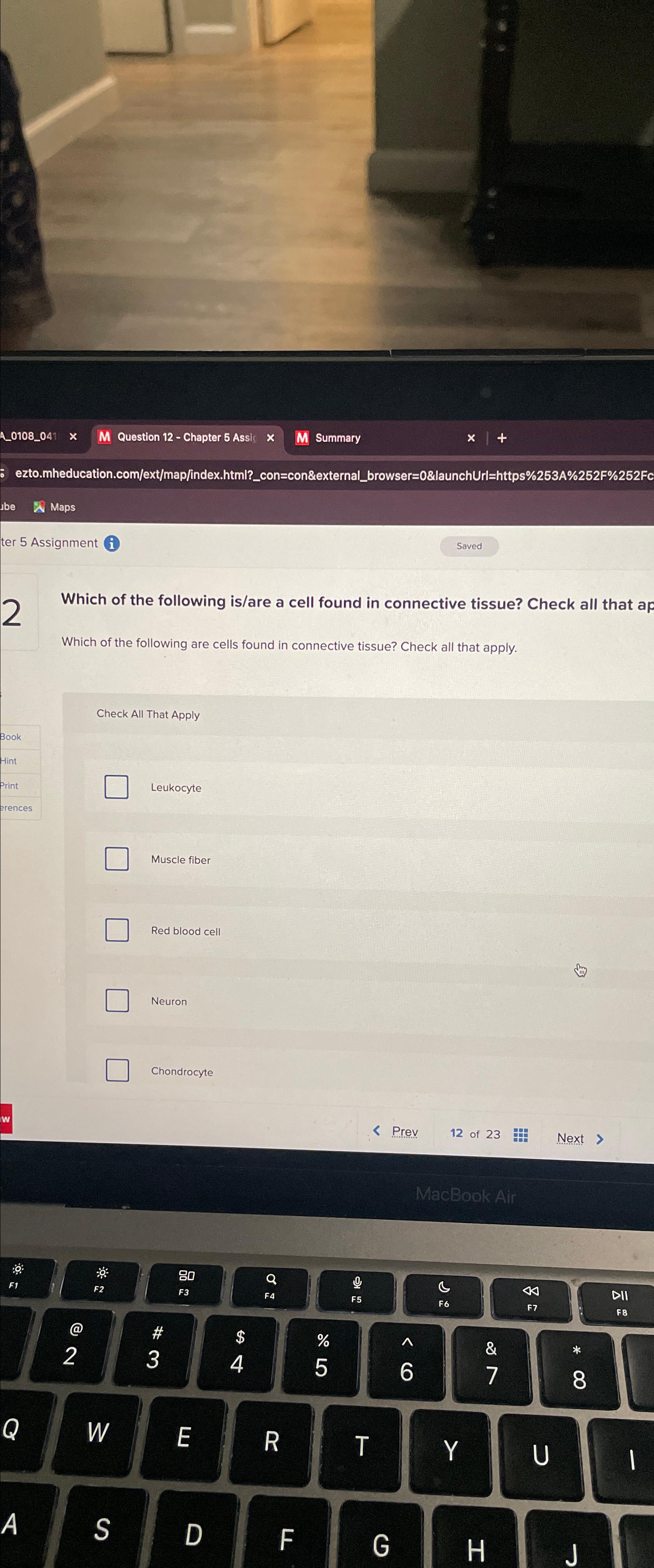 Solved Which of the following is/are a cell found in | Chegg.com