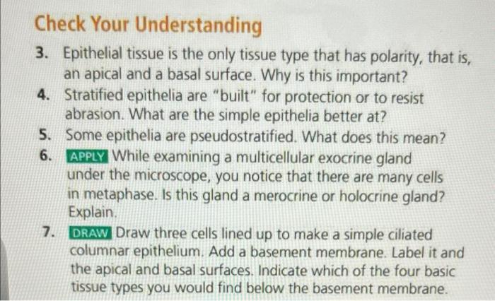 Solved 3. Epithelial tissue is the only tissue type that has | Chegg.com