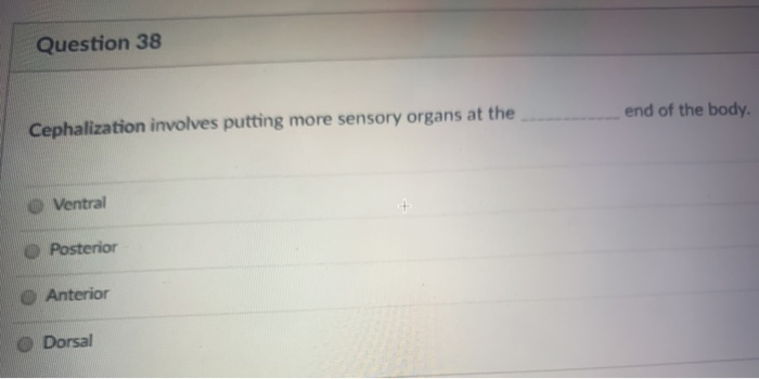 Solved Animals became more cephalized as they: Reproduced | Chegg.com