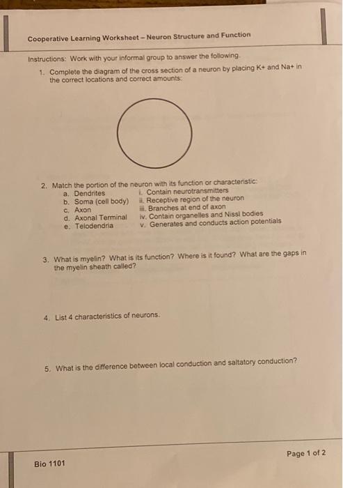 Solved Cooperative Learning Worksheet - Neuron Structure and | Chegg.com