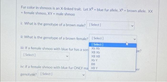 Solved Fur color in shmoos is an X-linked trait. Let XB - | Chegg.com