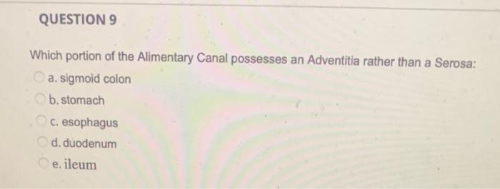 Solved Which portion of the Alimentary Canal possesses an | Chegg.com