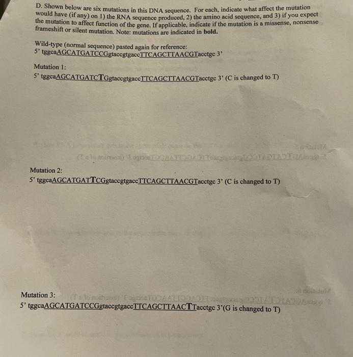 Solved D. Shown below are six mutations in this DNA | Chegg.com