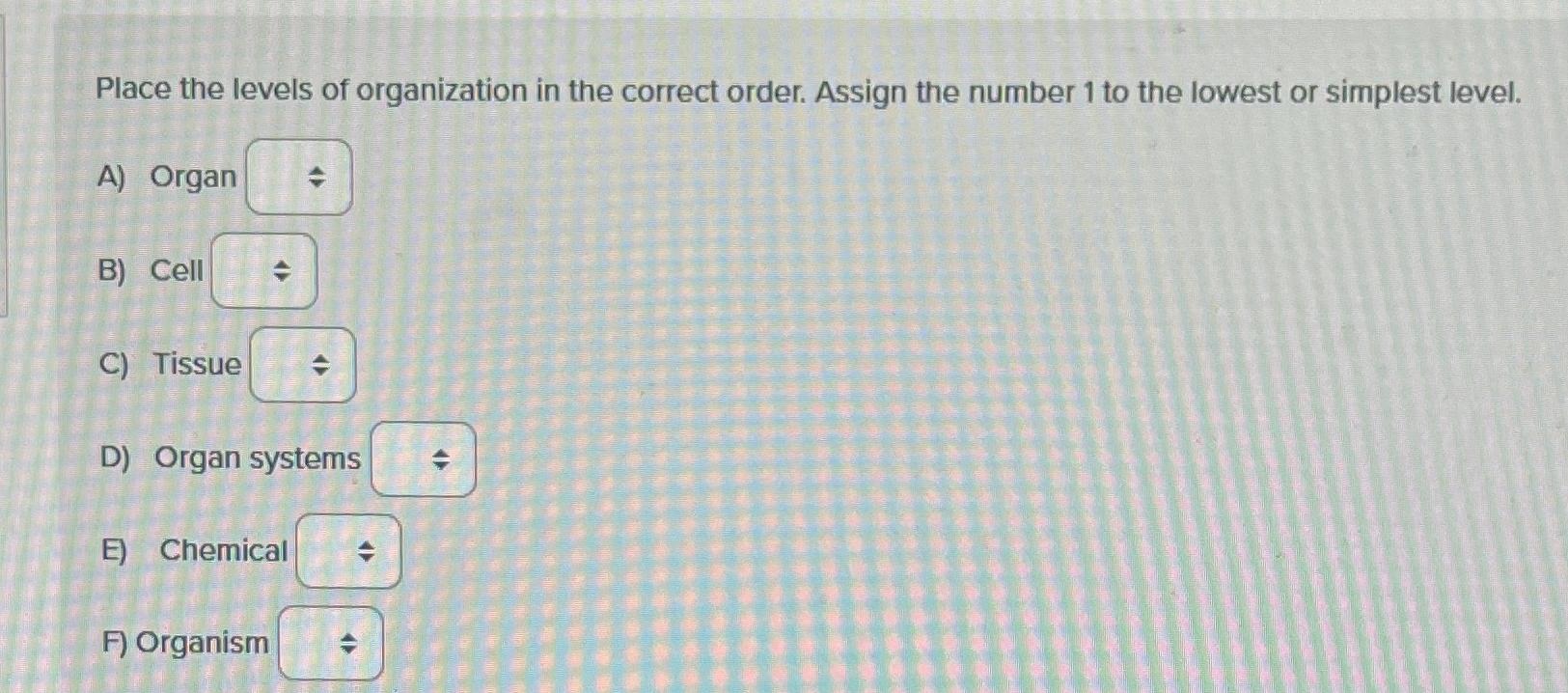 Solved Place the levels of organization in the correct | Chegg.com
