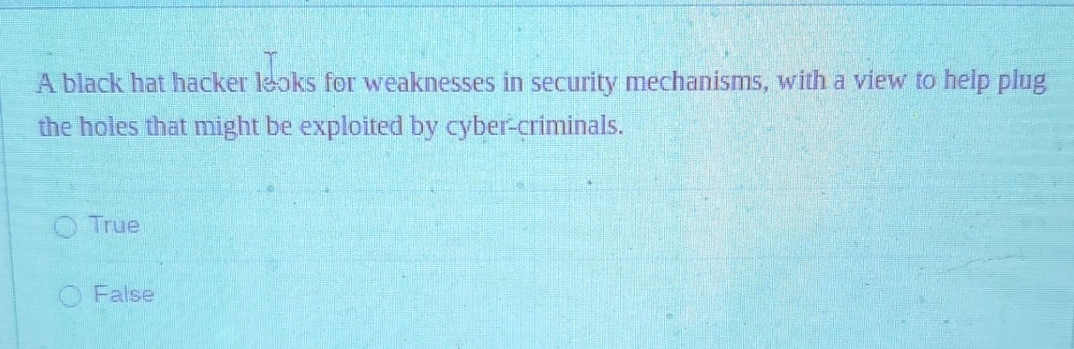 Solved A black hat hacker lsoks for weaknesses in security | Chegg.com