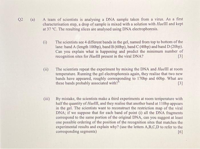 Solved Q2 (a) A team of scientists is analysing a DNA sample | Chegg.com