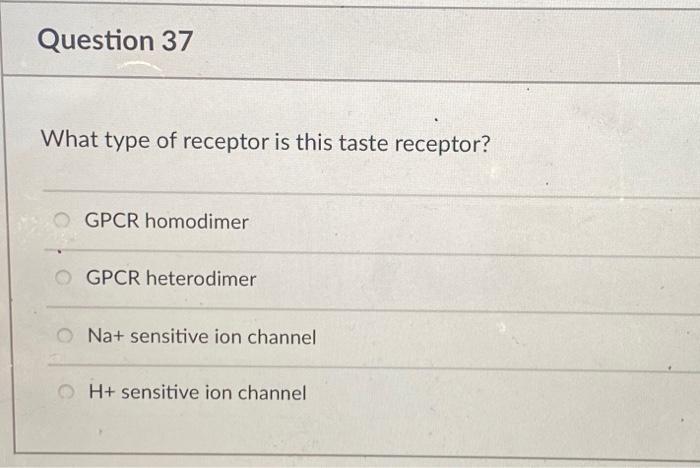 Solved What type of receptor is this taste receptor? GPCR | Chegg.com