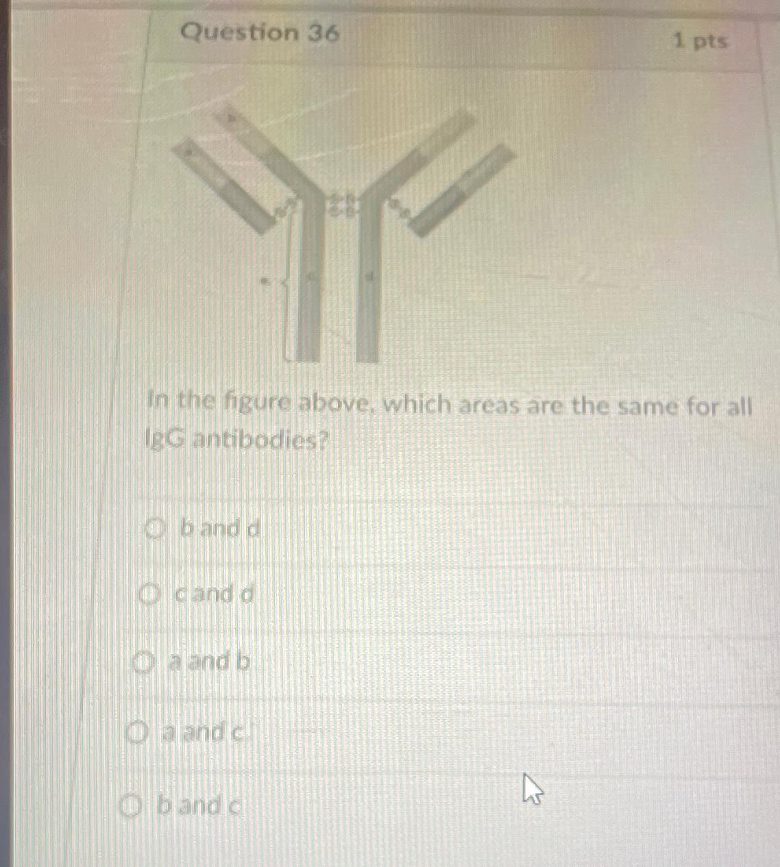 Solved Question 361 ﻿ptsIn the figure above, which areas are | Chegg.com