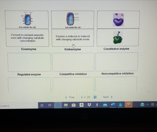 Solved Achete the Acts inside the cel Present in constant | Chegg.com
