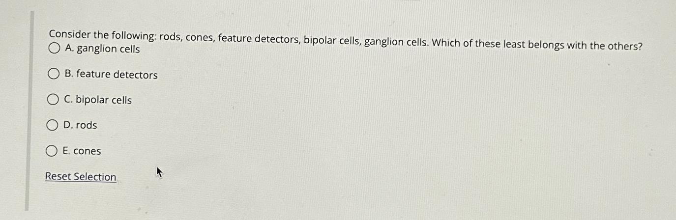 Solved Consider the following: rods, cones, feature | Chegg.com