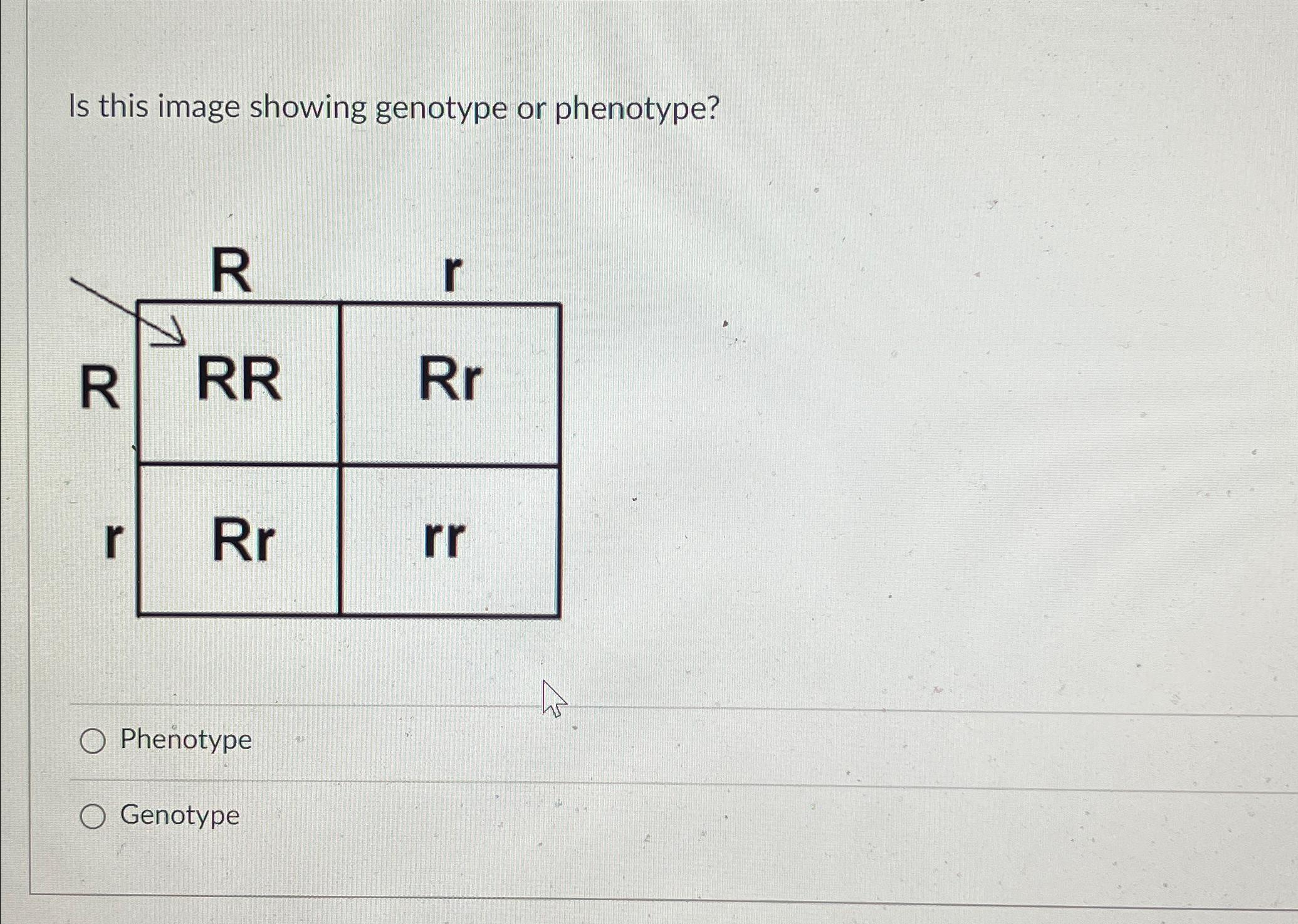 Solved Is this image showing genotype or | Chegg.com