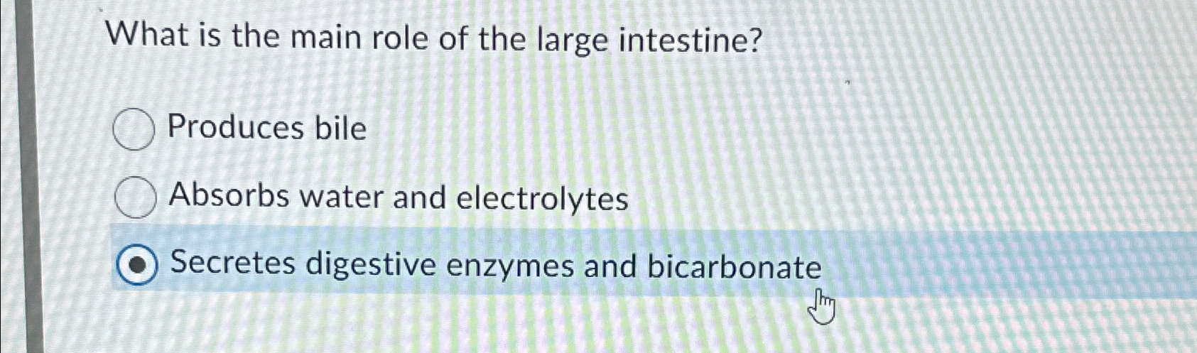 Solved What is the main role of the large intestine?Produces | Chegg.com