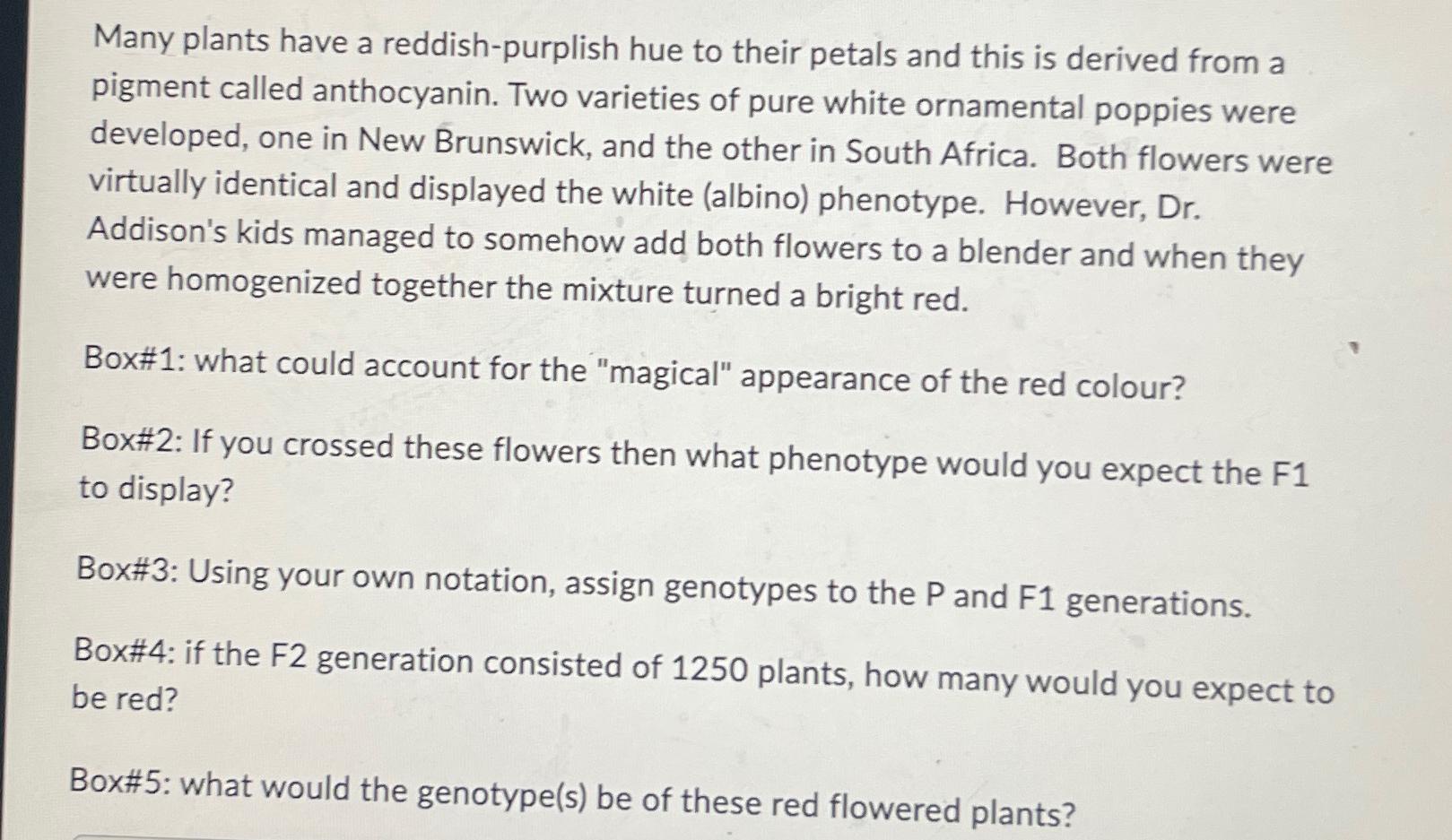 Solved Many plants have a reddish-purplish hue to their | Chegg.com