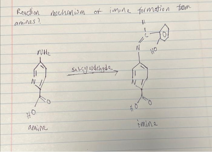 Solved Reaction mechanism of imine formation from amines? H. | Chegg.com
