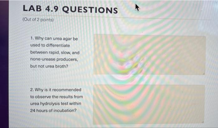Solved LAB 4.9 QUESTIONS (Out of 2 points) 1. Why can urea | Chegg.com