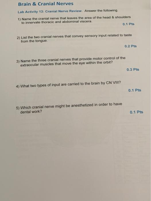Solved Brain & Cranial Nerves Lab Activity 13: Cranial Nerve | Chegg.com