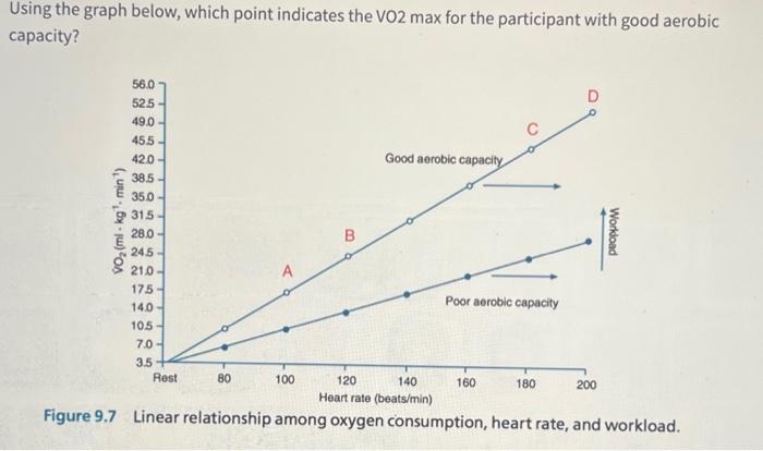 Solved Using the graph below, which point indicates the VO2 | Chegg.com