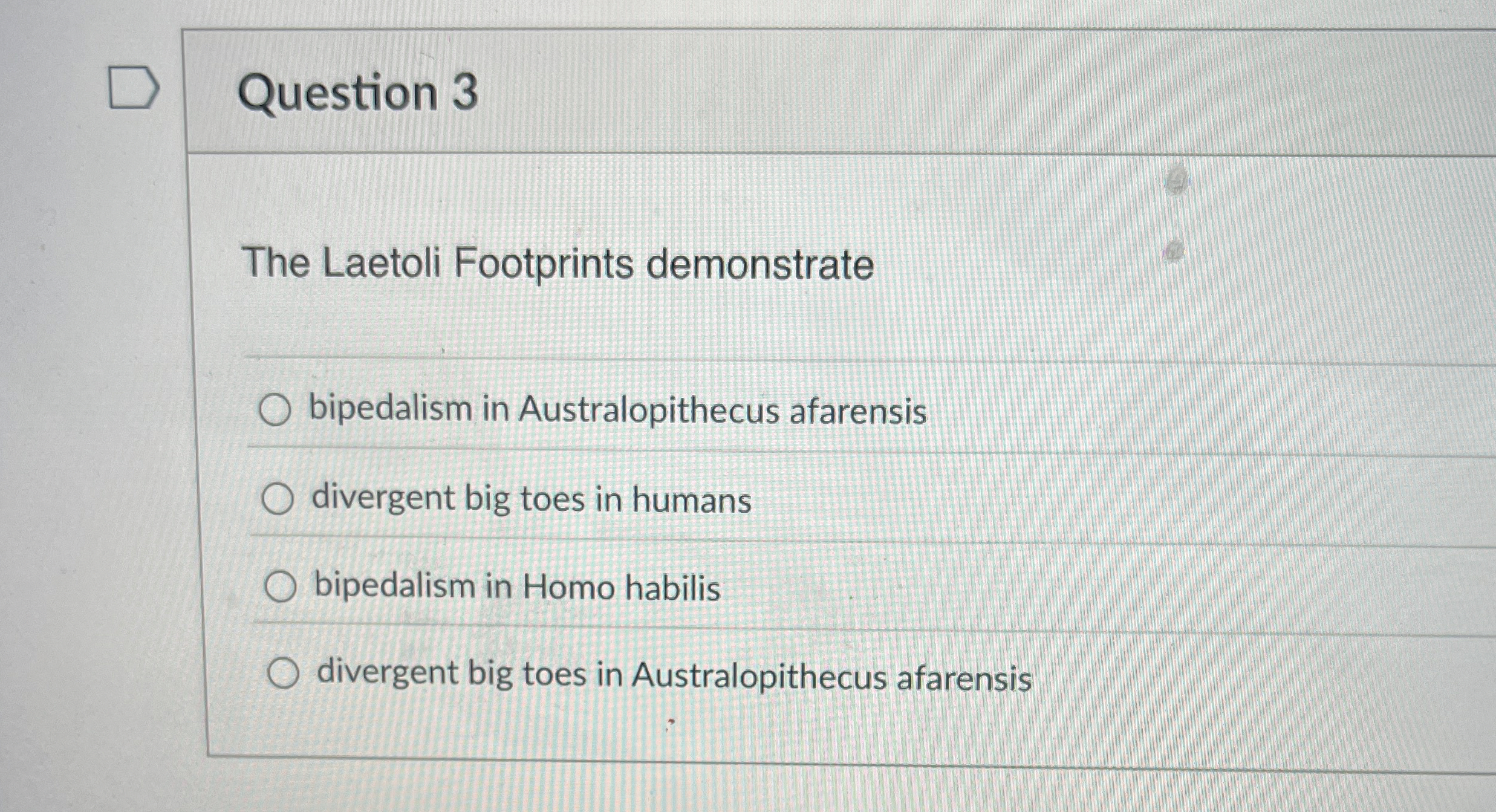 Question 3The Laetoli Footprints | Chegg.com