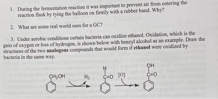 Solved 1. During the fermentation reaction it was important | Chegg.com