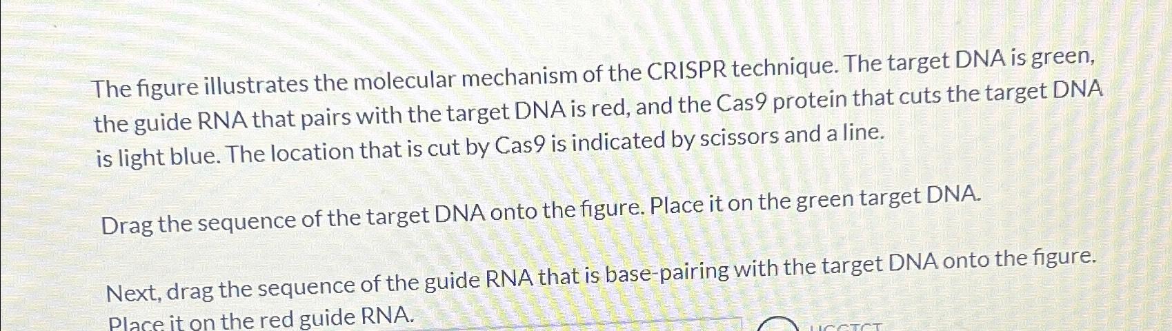 Solved The figure illustrates the molecular mechanism of the | Chegg.com